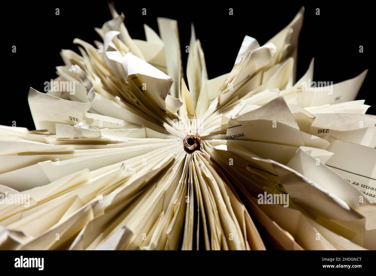 Destroyed book hi-res stock photography and images - Alamy