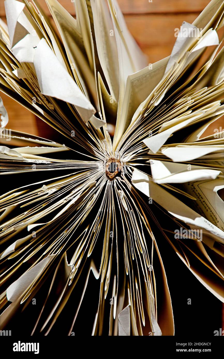 Destroyed book hi-res stock photography and images - Alamy