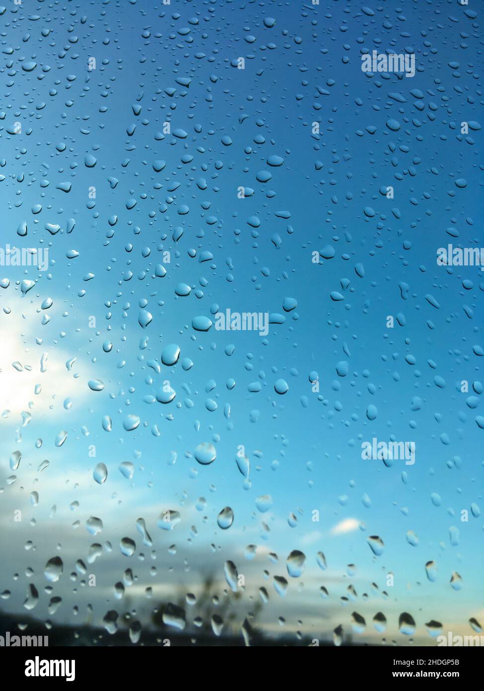 Panel of glass hi-res stock photography and images - Alamy