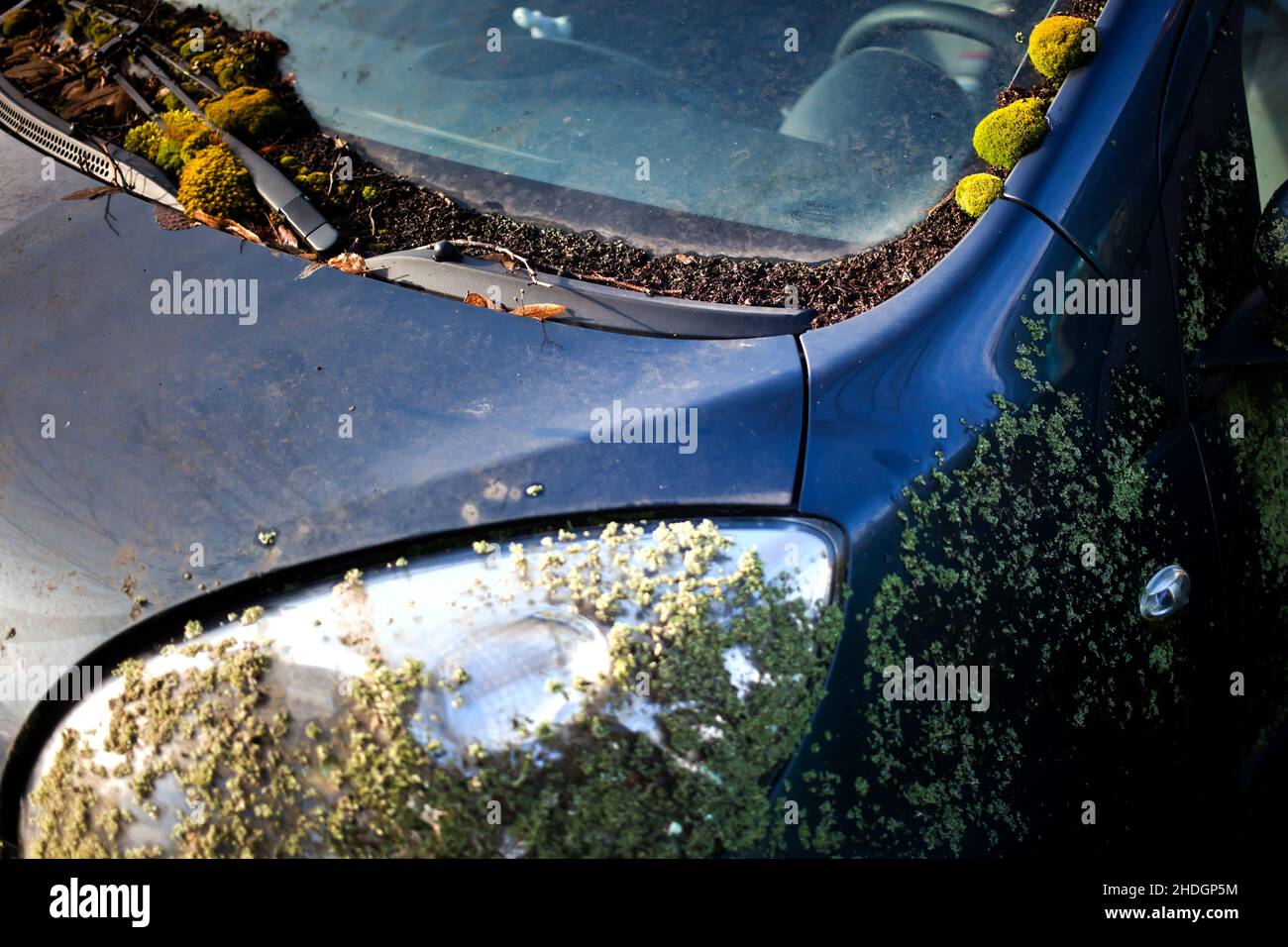 car, weathered, discarded, cars, weathereds, discardeds Stock Photo - Alamy
