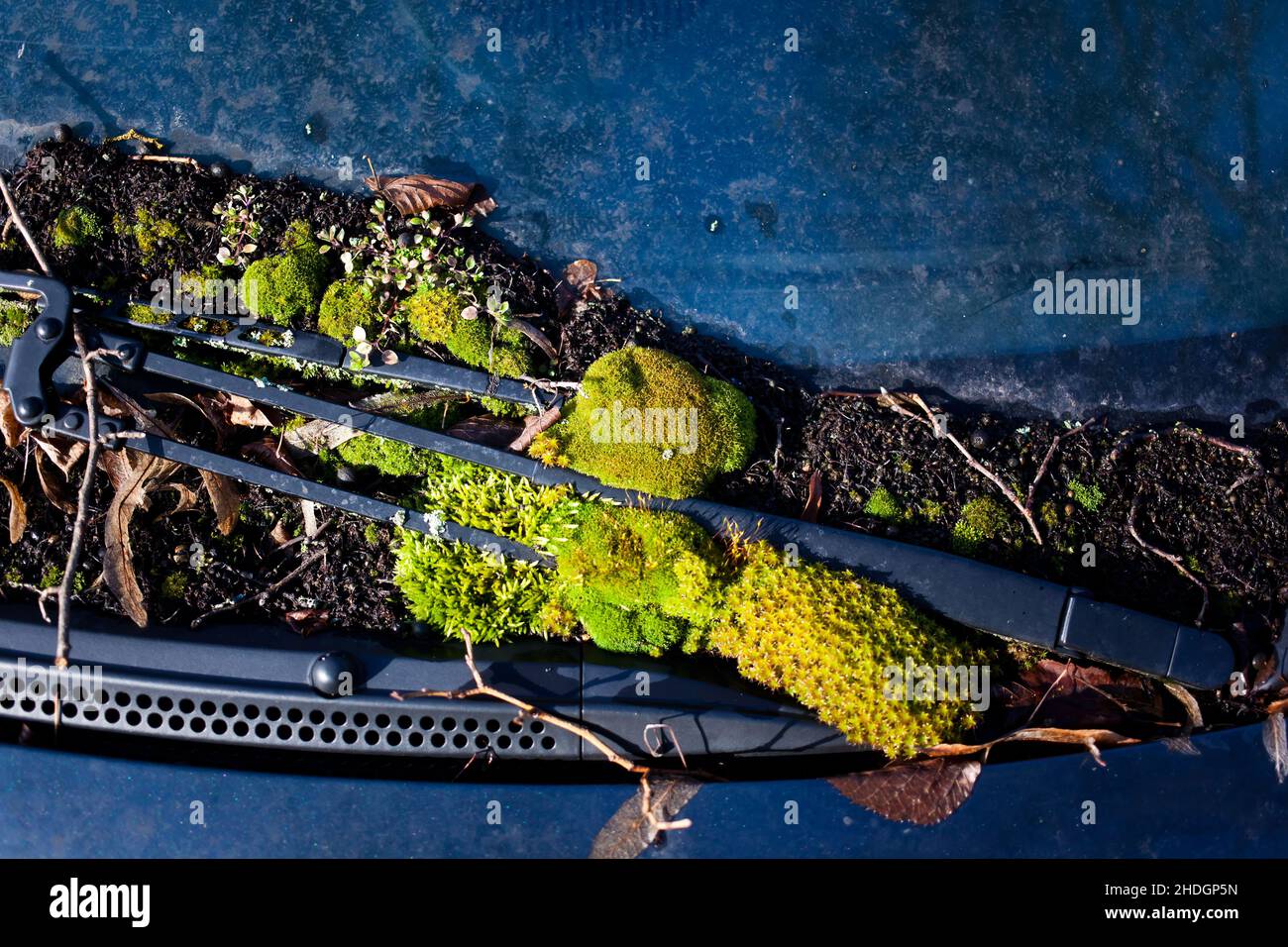 Dirt car window hi-res stock photography and images - Alamy