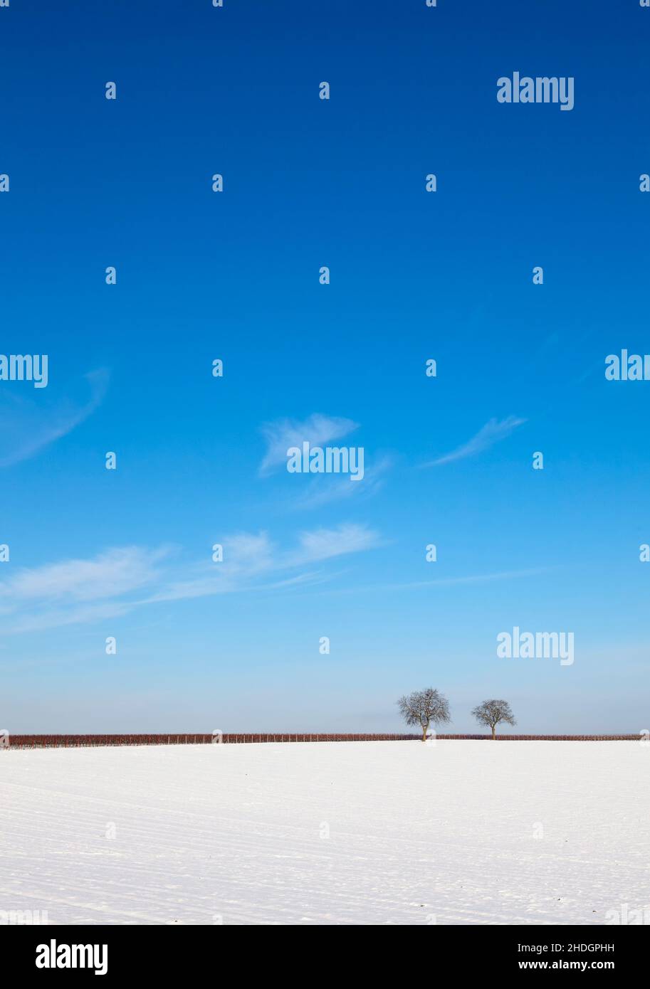 Horizon horizons vertical verticals hi-res stock photography and images ...