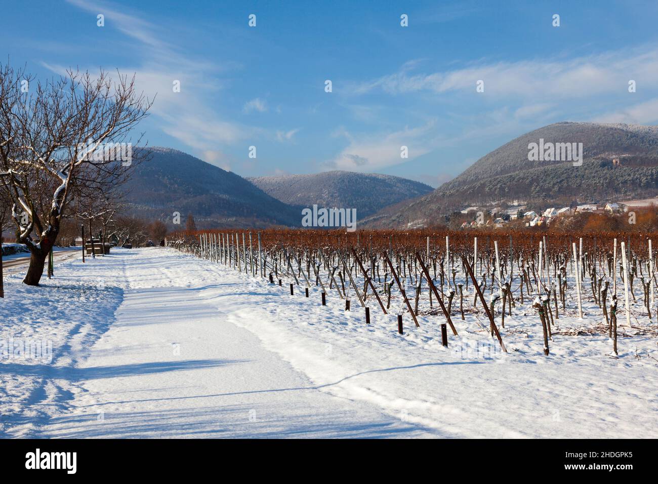 wine field, german wine route, wine fields, german wine routes Stock ...