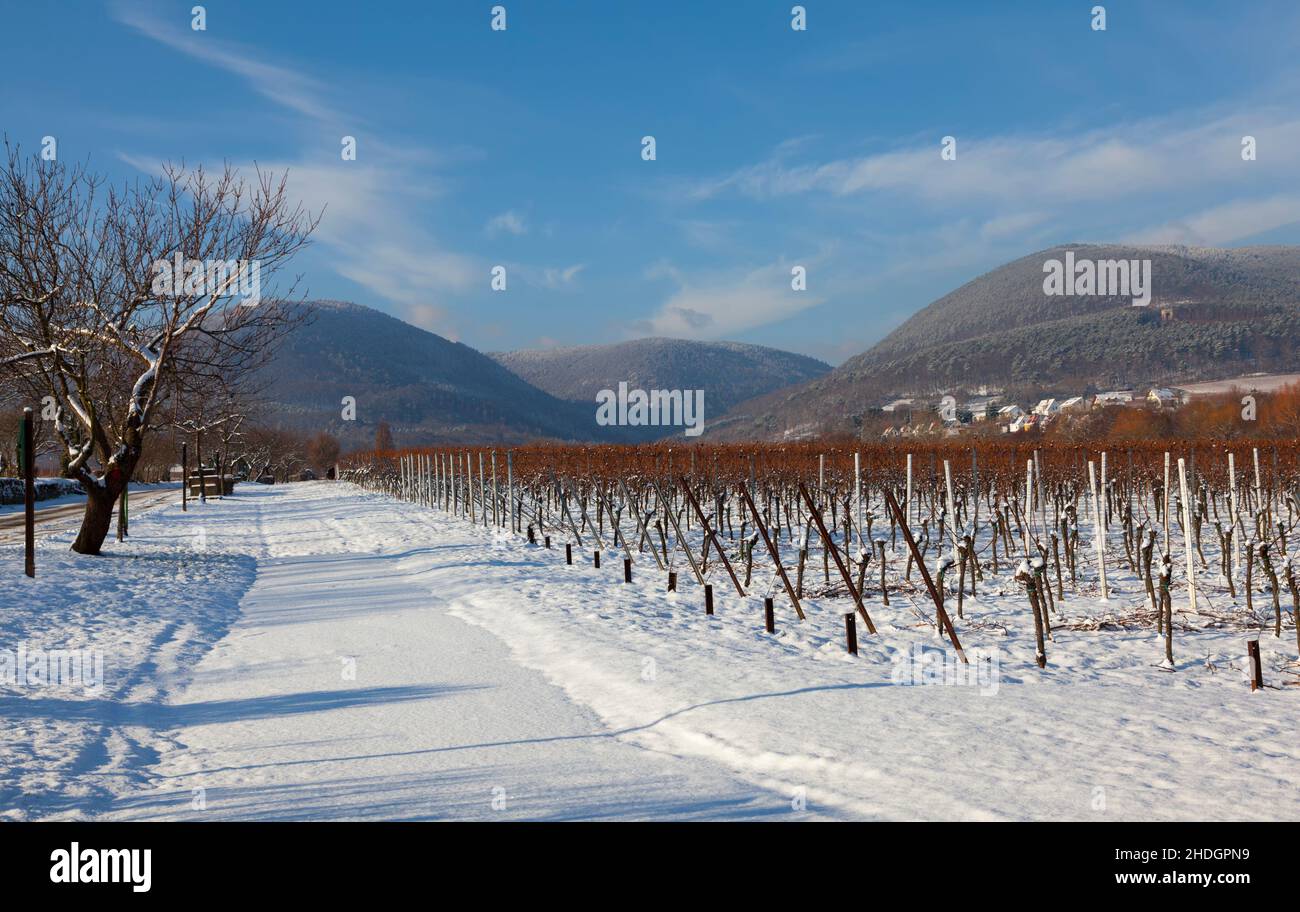 viticulture, german wine route, viticultures, german wine routes Stock ...