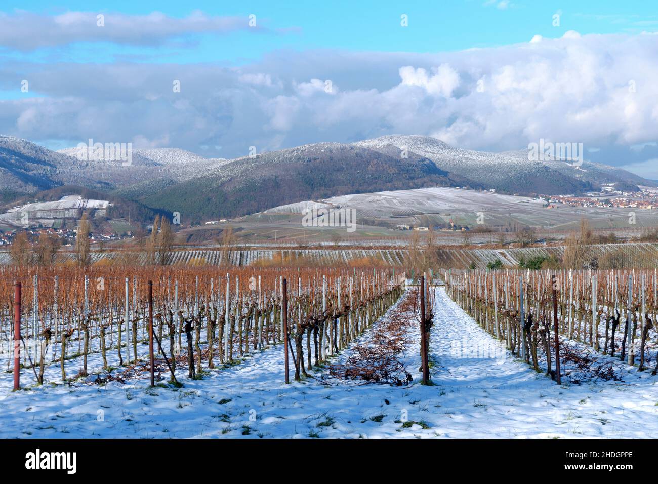 Haardt hi-res stock photography and images - Alamy