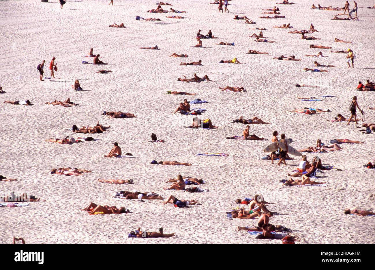 people, beach, sunbathing, person, beaches, seaside, sun tanning ...
