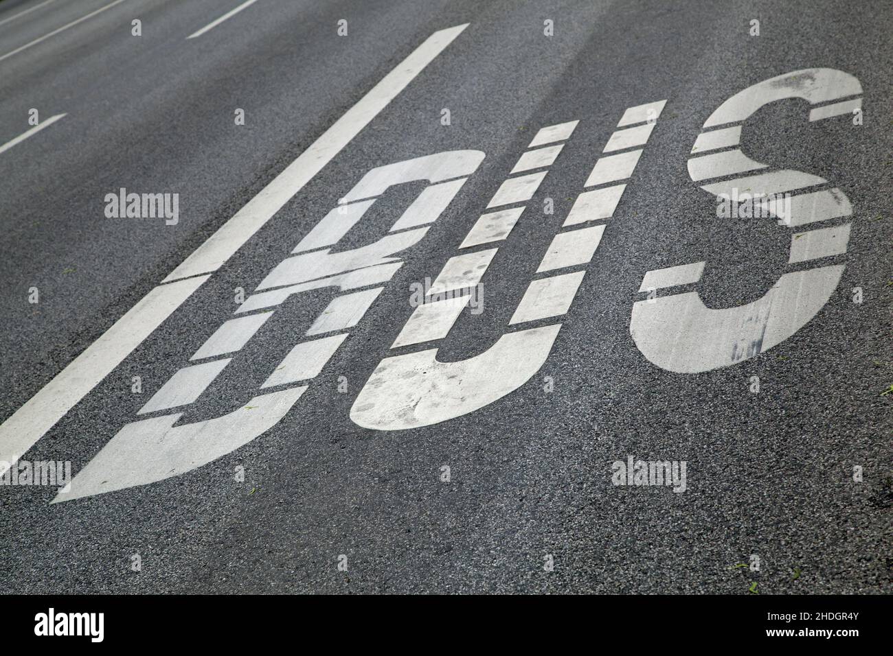 asphalt, bus, road marking, asphalts, buses Stock Photo - Alamy