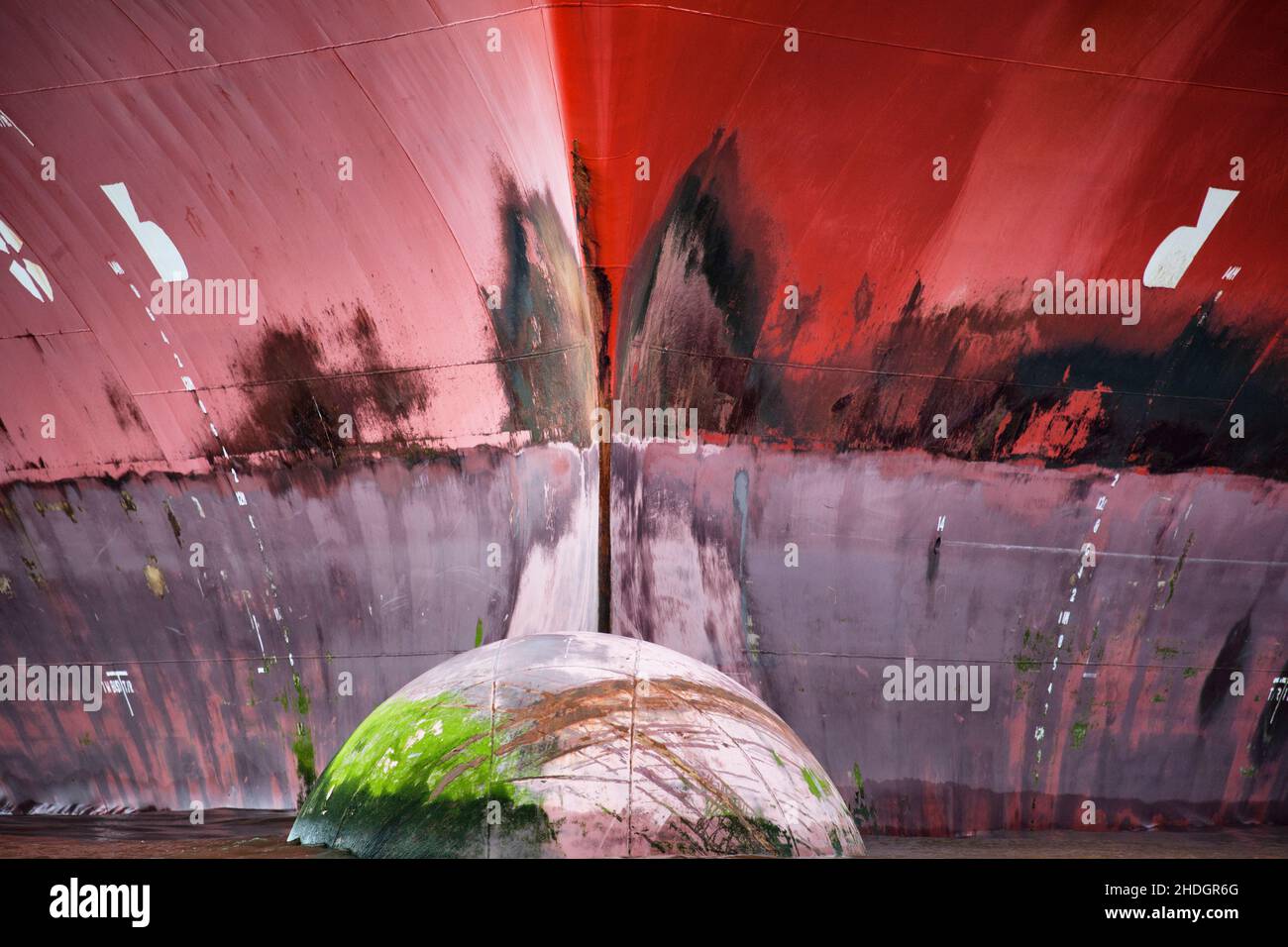 ship's bow, bug, ship's bows, bugs Stock Photo - Alamy