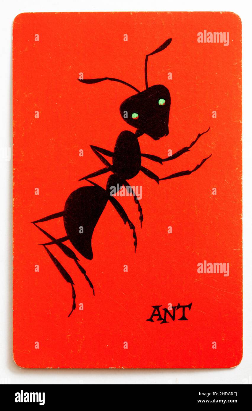 Skeeter Game Playing Card - Ant Stock Photo - Alamy