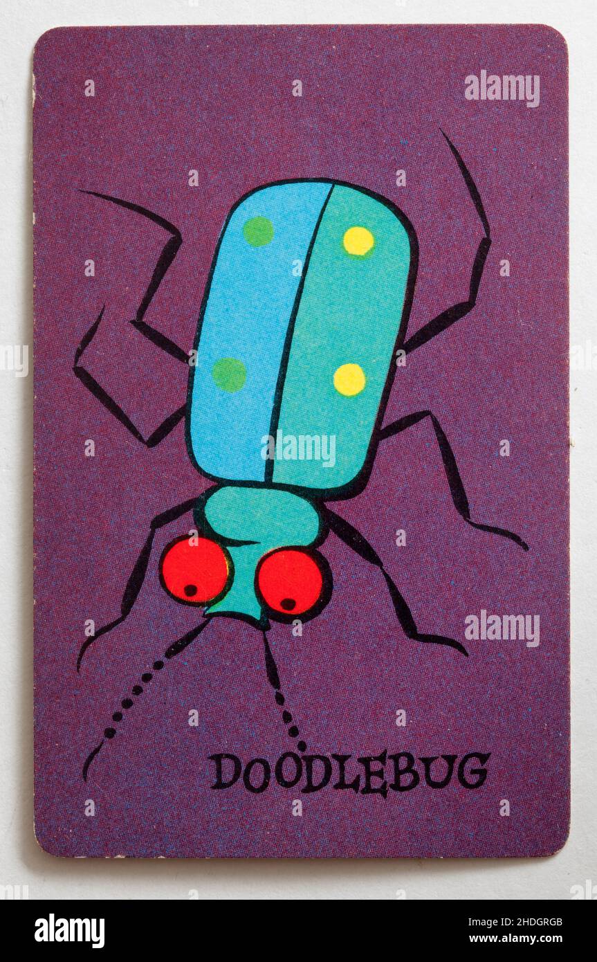 Skeeter Game Playing Card - Doodlebug Stock Photo - Alamy