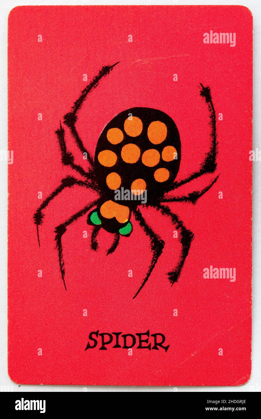 Skeeter Game Playing Card - Spider Stock Photo - Alamy