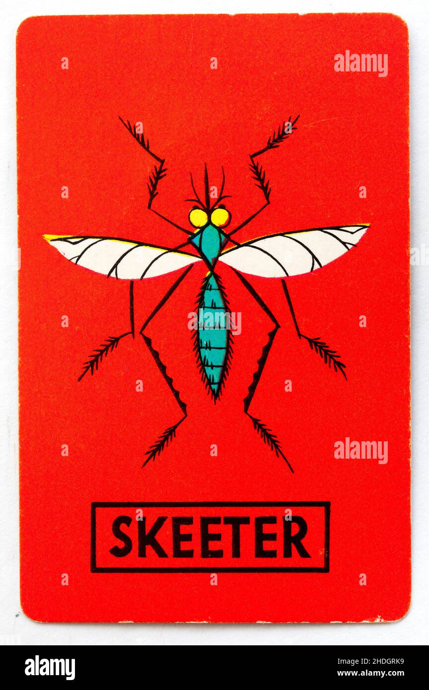 Playing with insects hi-res stock photography and images - Alamy