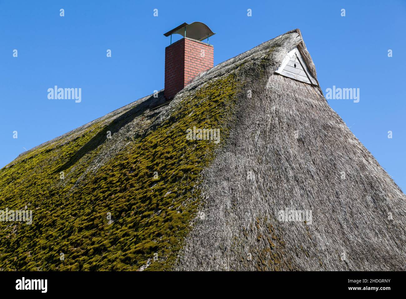 roof, reet, roofs, reets Stock Photo - Alamy