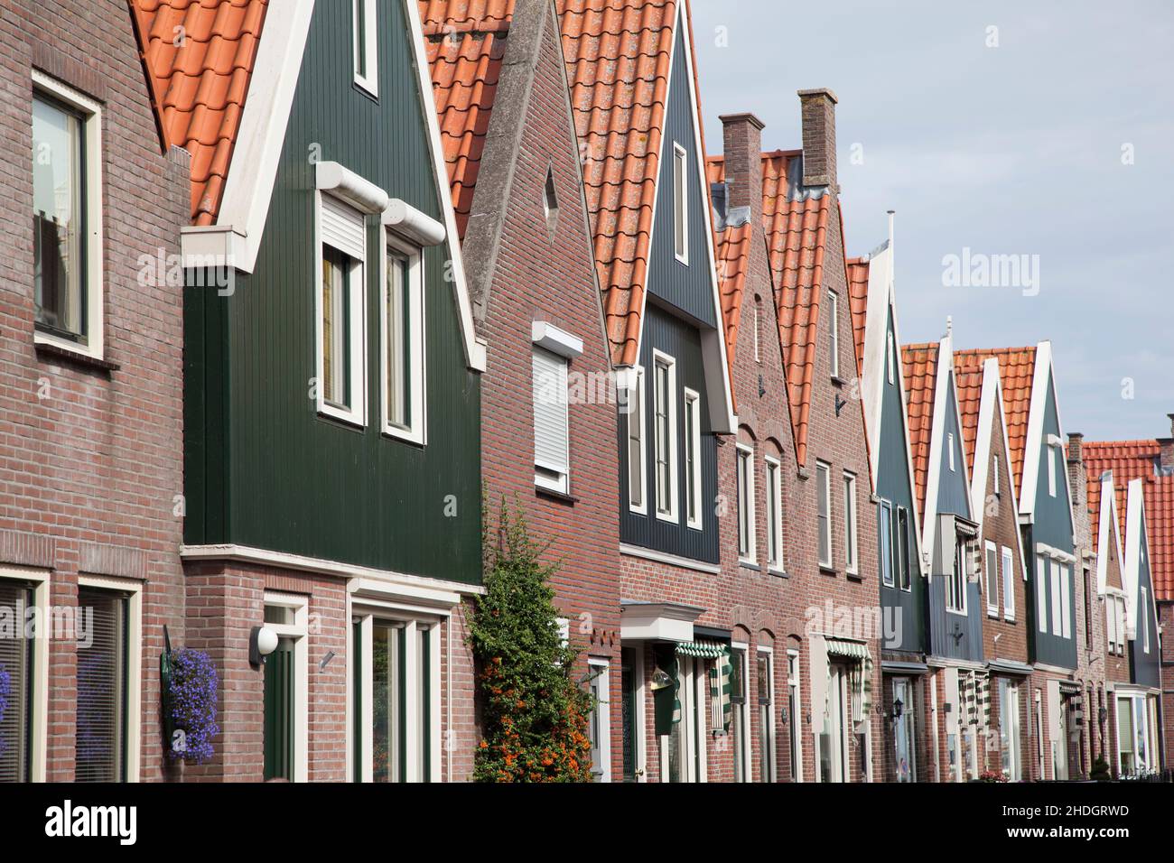 Edam volendams hi-res stock photography and images - Alamy