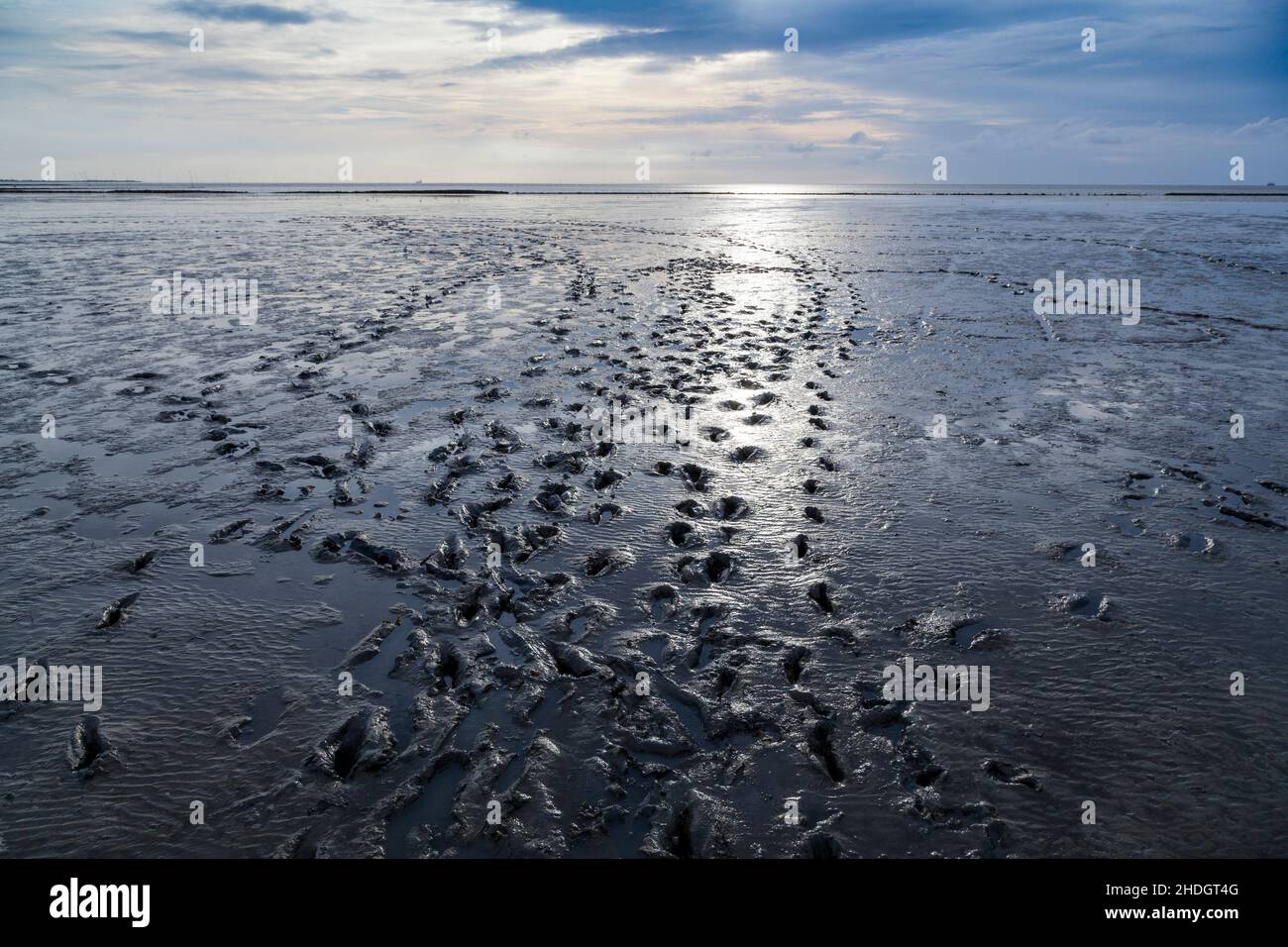 wadden sea, national park wadden sea, wadden seas, wadden sea ...