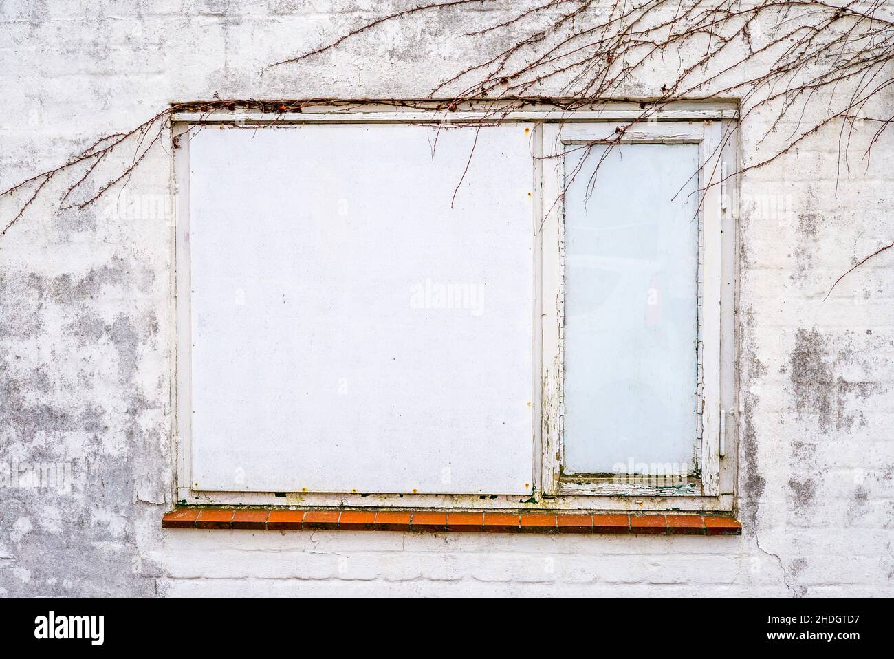 window, opaque, windows, opaques Stock Photo - Alamy
