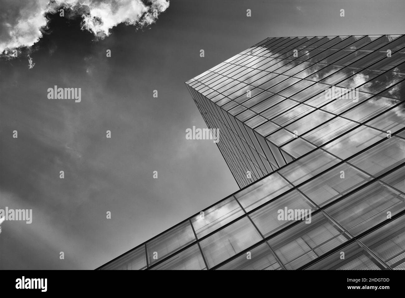 Black white horizontal business hi-res stock photography and images - Alamy
