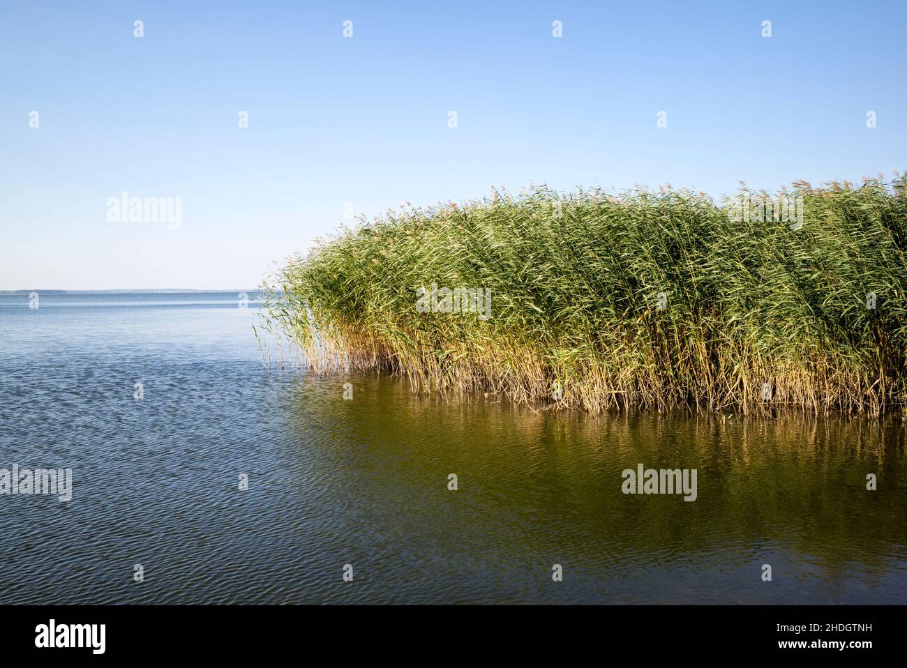 Bodden scenery hi-res stock photography and images - Alamy