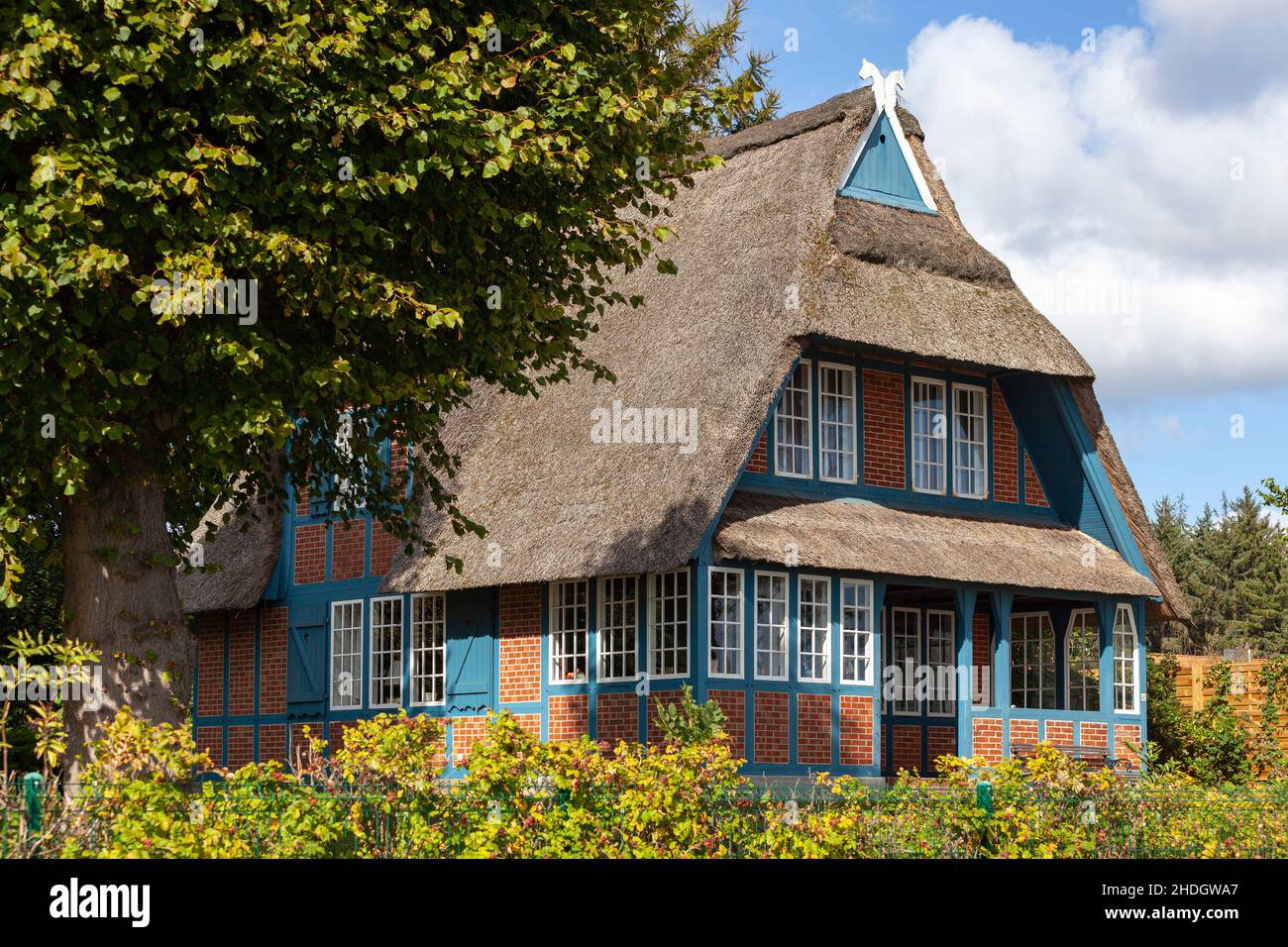timbered, thatched-roof house, half-timbered, timbereds, thatched-roof ...