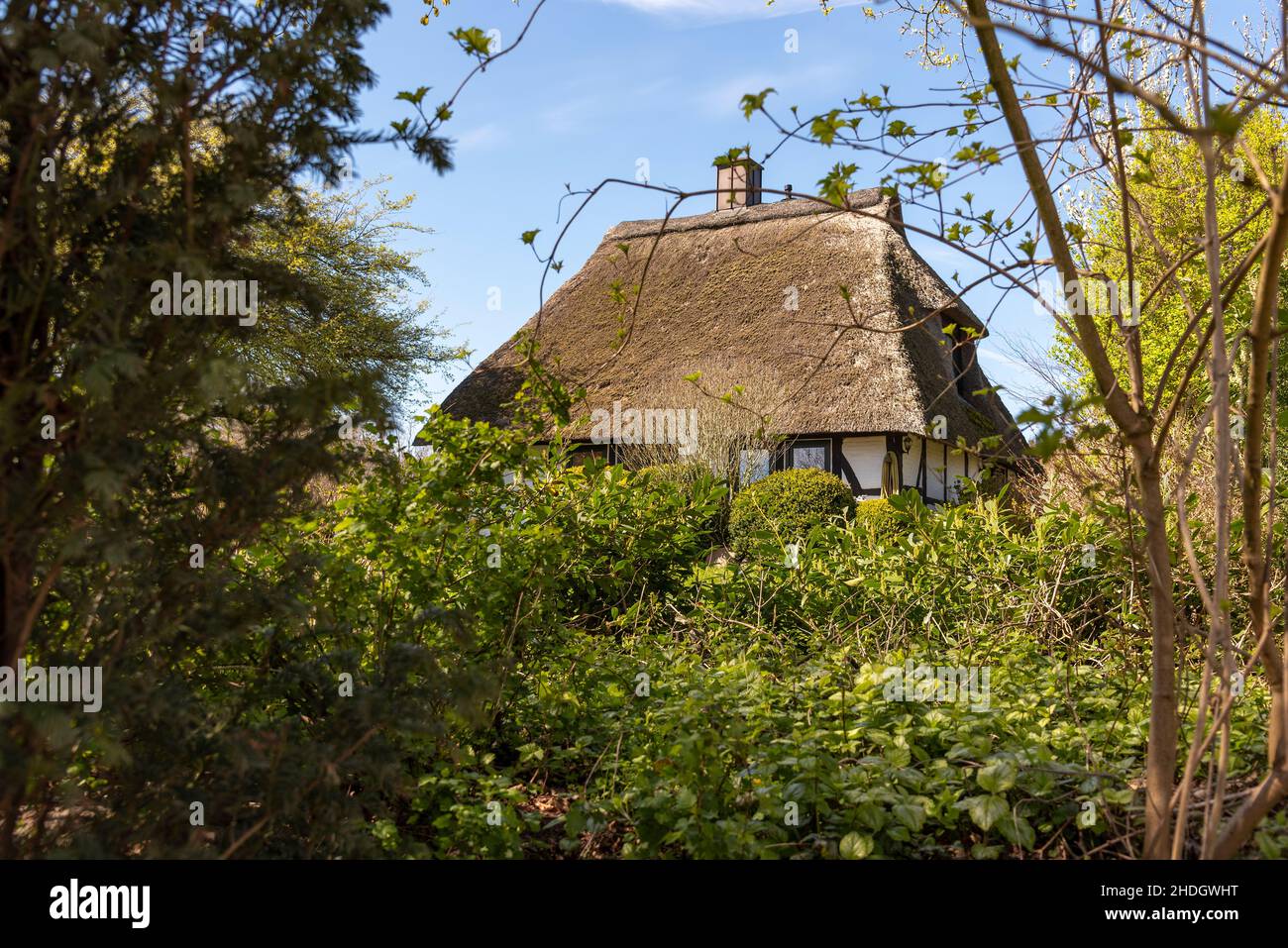 thatch roof, thatched-roof house, thatch roofs, thatched-roof houses ...
