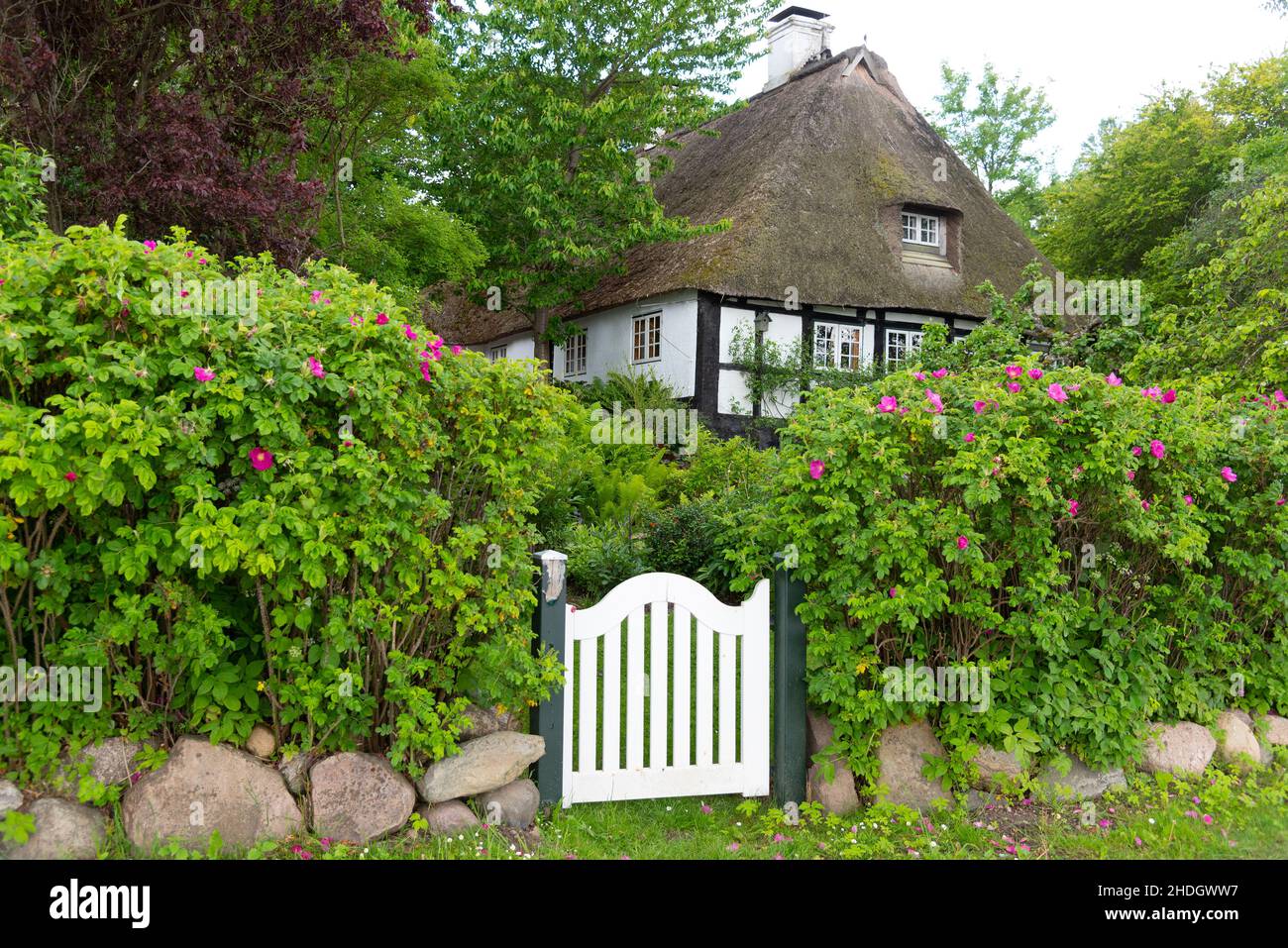 hedge, garden gate, thatched-roof house, hedges, garden gates, thatched ...