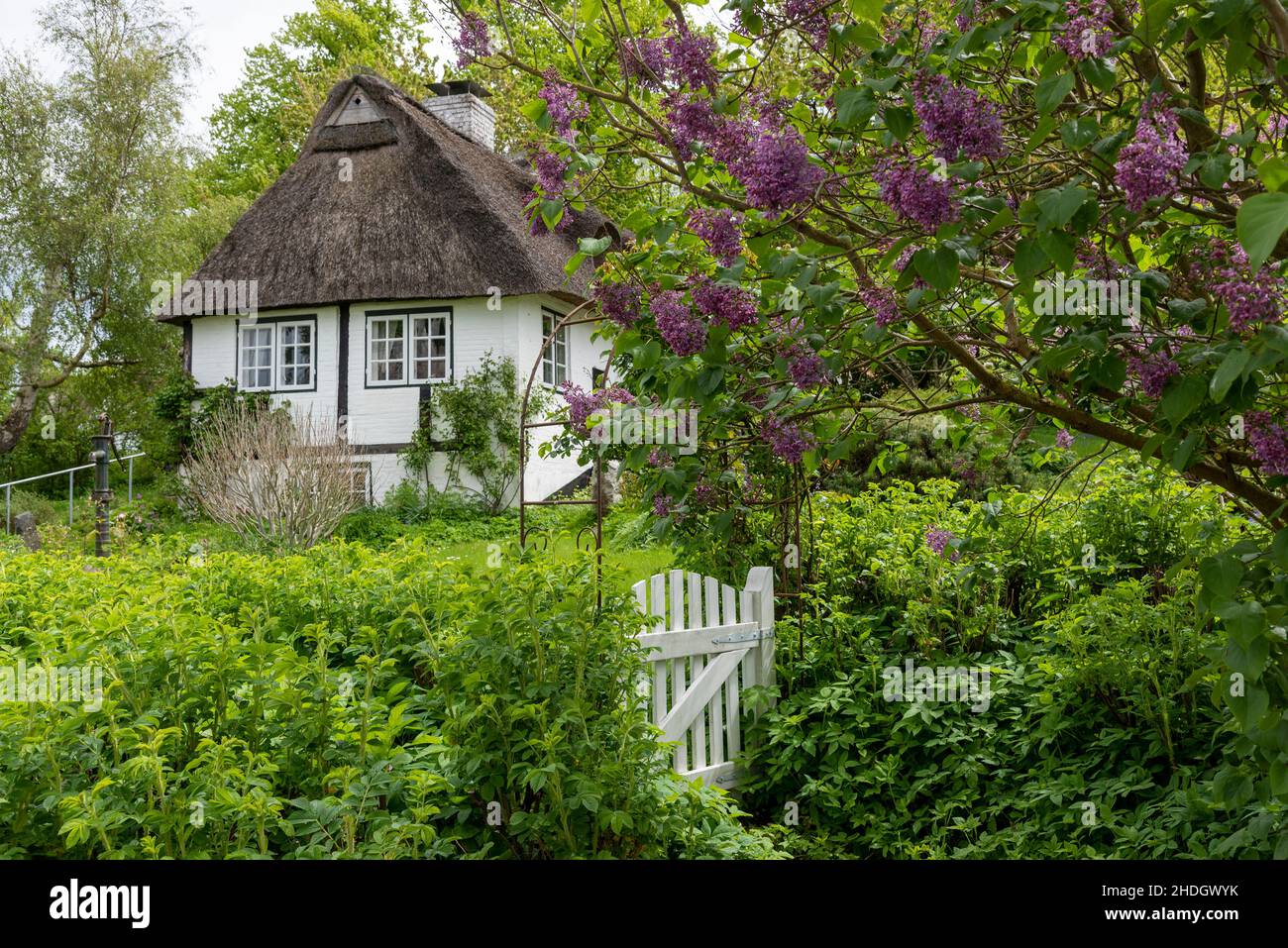garden, entrance gate, thatched-roof house, gardens, gates, thatched ...