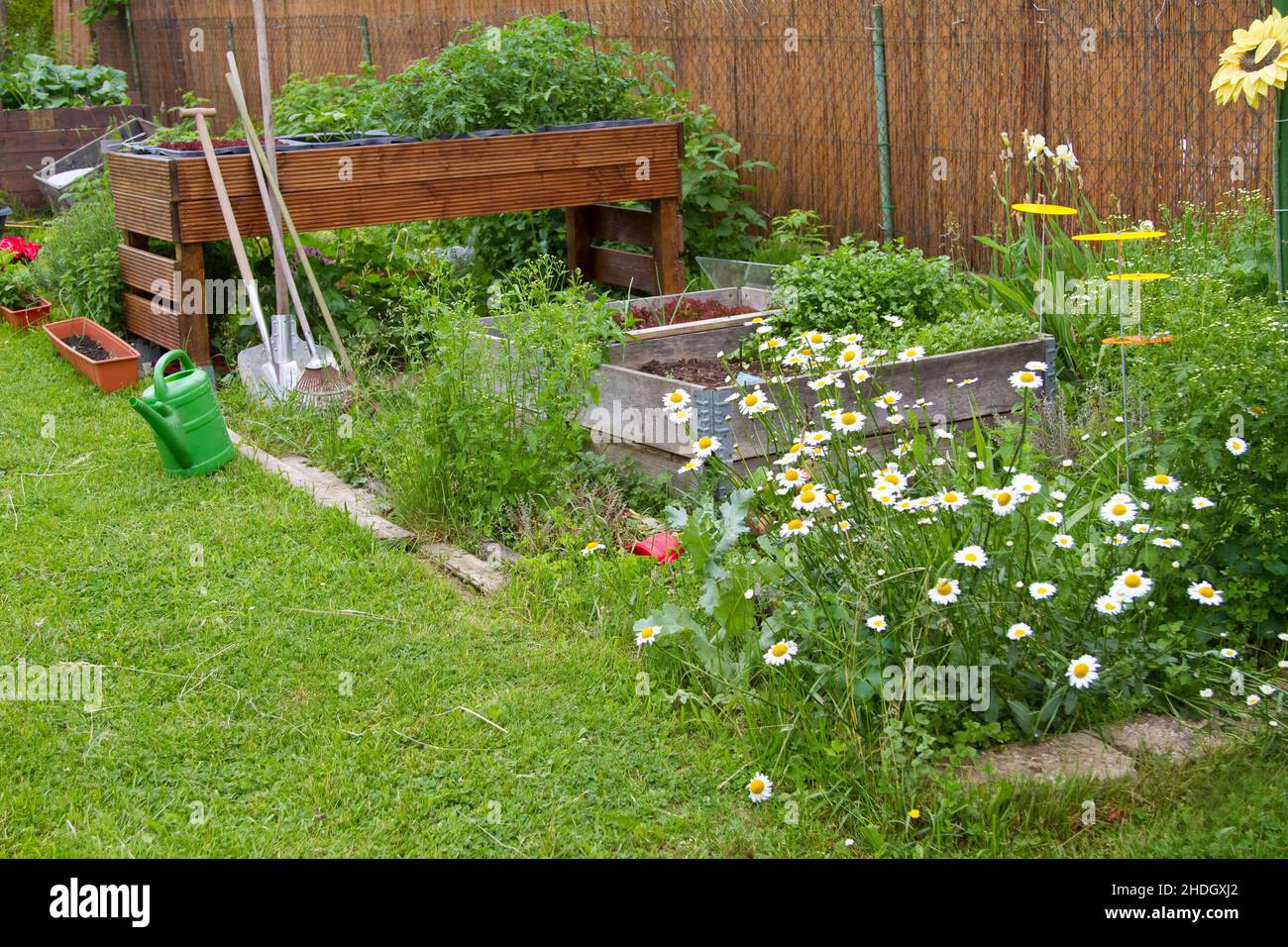 Seedbeds hi-res stock photography and images - Alamy
