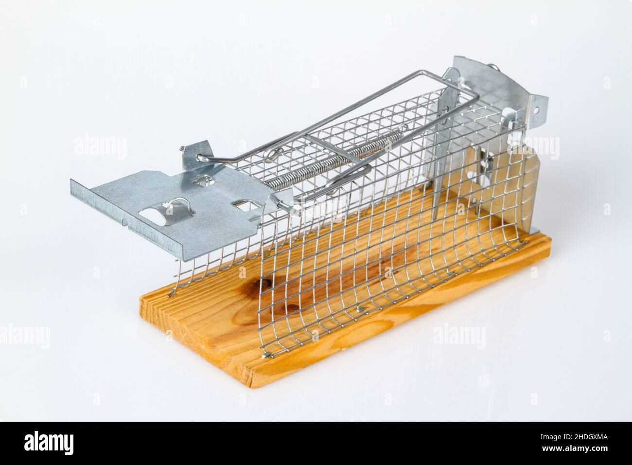 Live mouse trap hi-res stock photography and images - Alamy