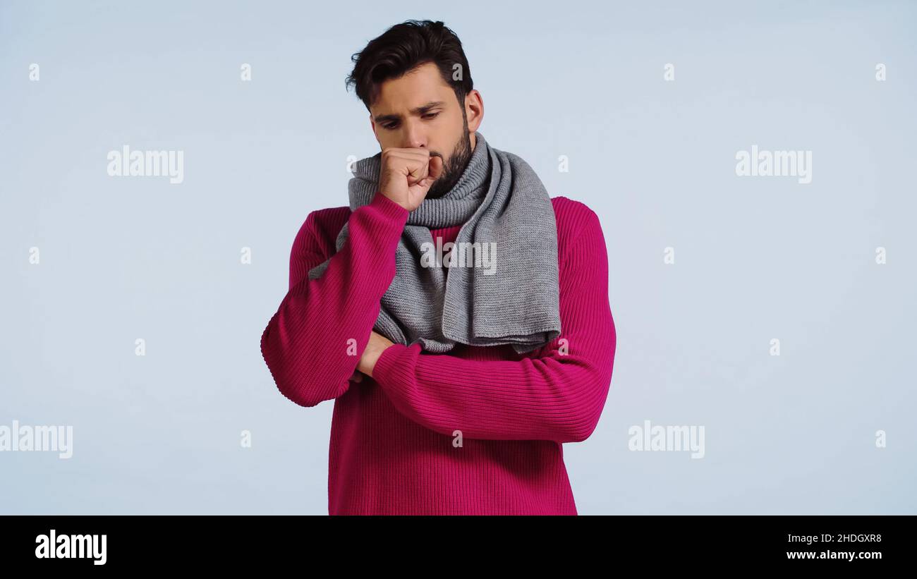 sick man in sweater and scarf coughing isolated on blue Stock Photo - Alamy