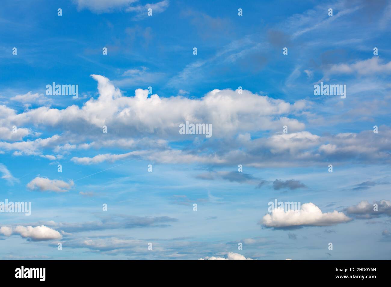 Onlies hi-res stock photography and images - Alamy