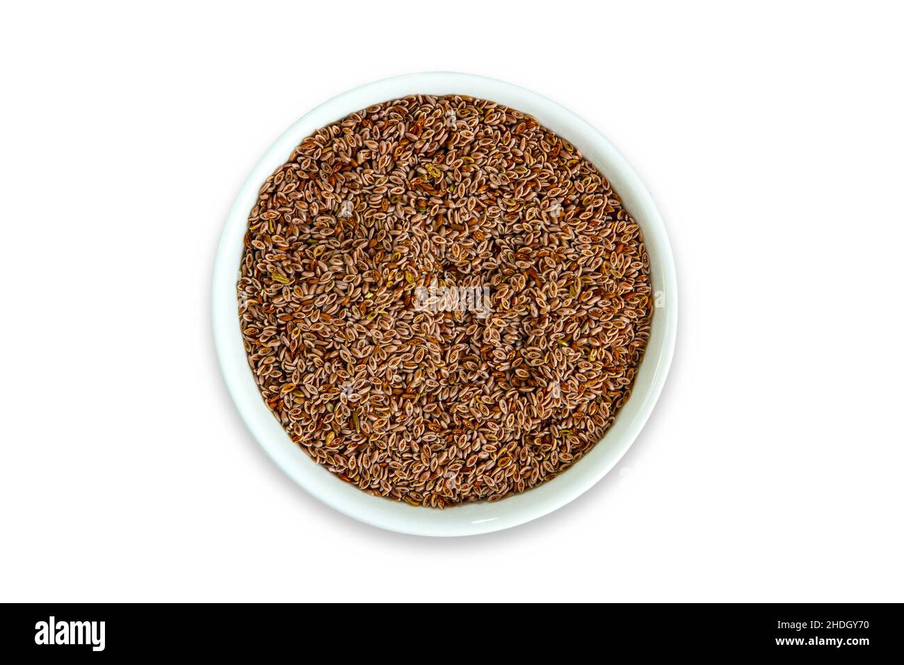Psyllium seed husks Stock Photo - Alamy