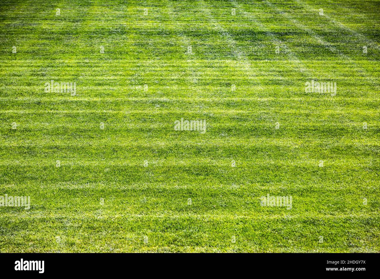 grass area, lawn, grass areas, lawns Stock Photo - Alamy