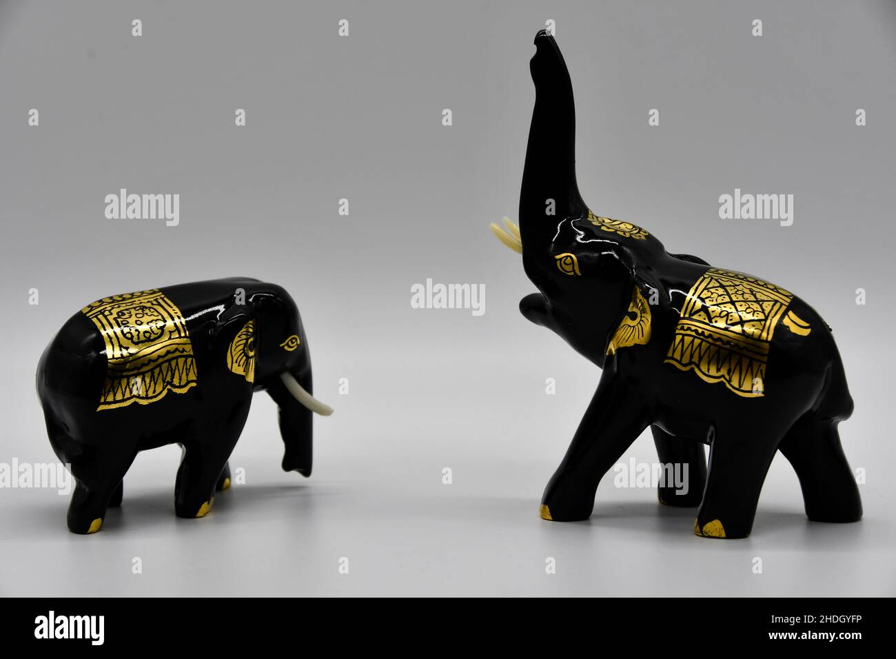 Gold white elephants hi-res stock photography and images - Alamy
