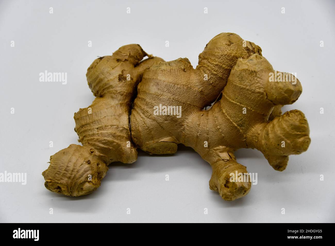 A ginger bulb with a white background Stock Photo - Alamy