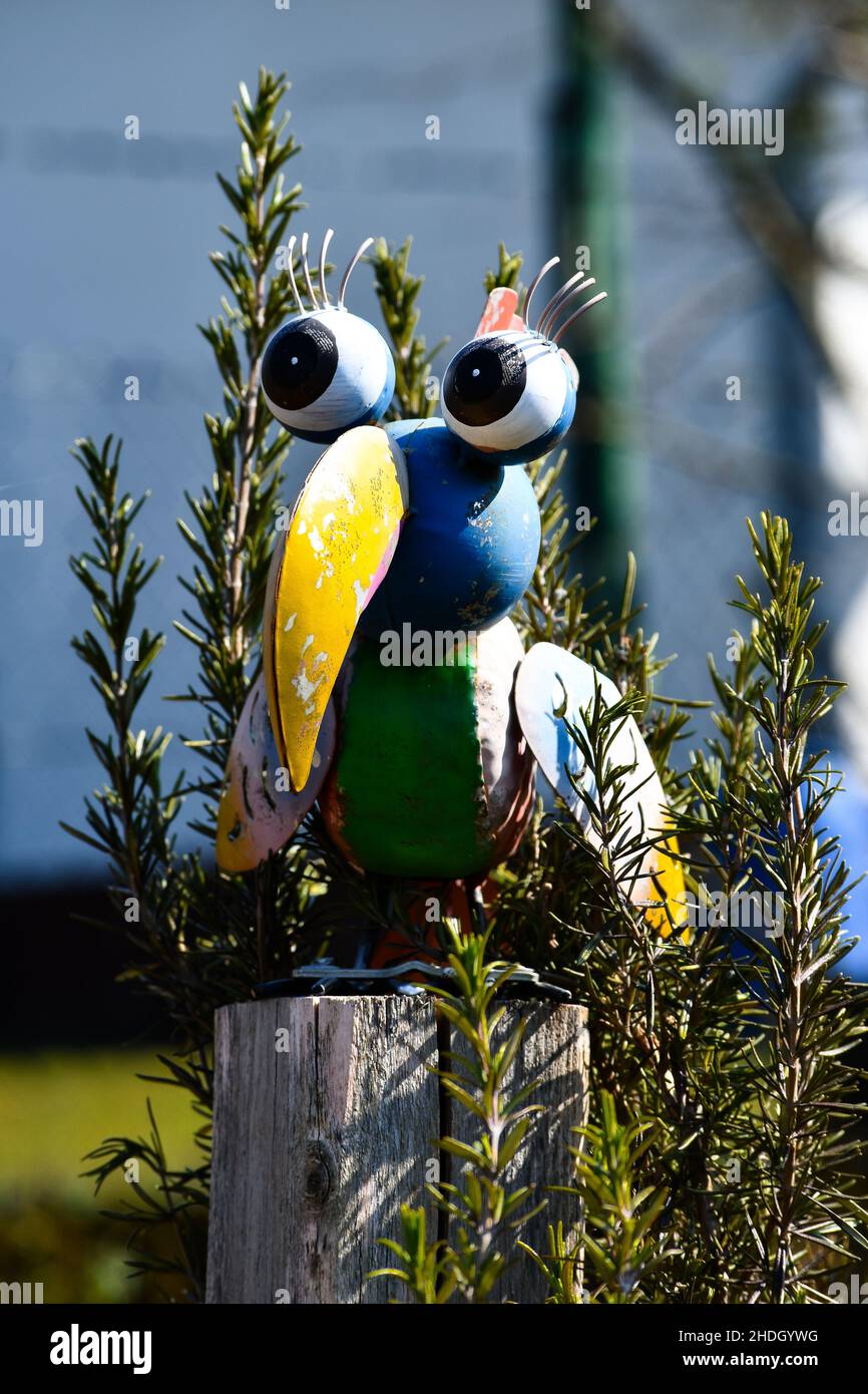 A colorful bird as decoration for the garden Stock Photo - Alamy