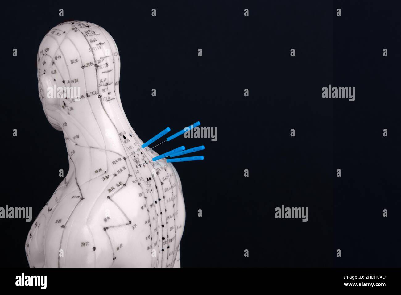 Acupuncture meridians hi-res stock photography and images - Alamy