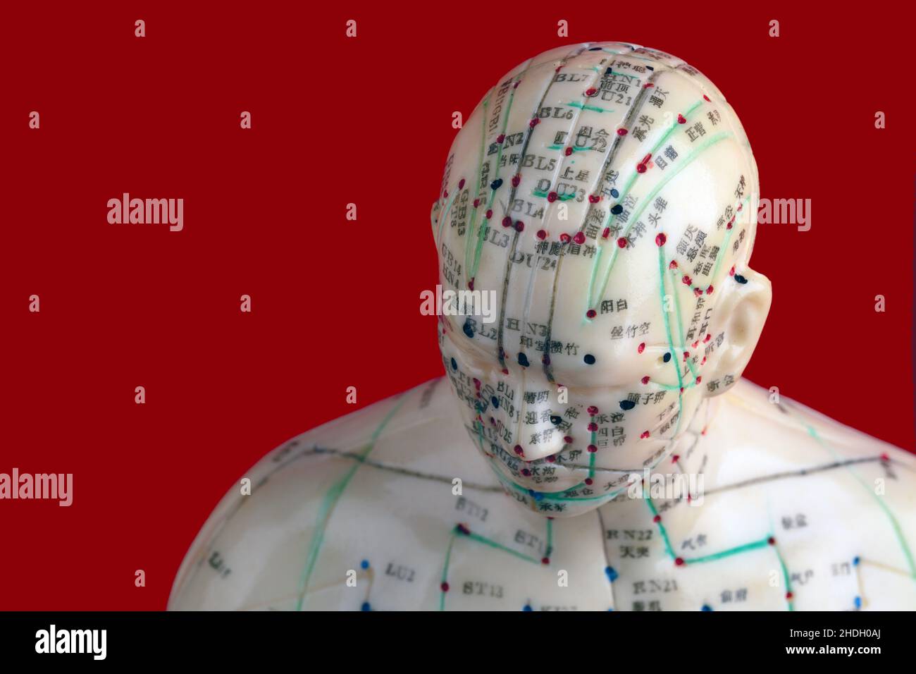 Acupuncture points head hi-res stock photography and images - Alamy