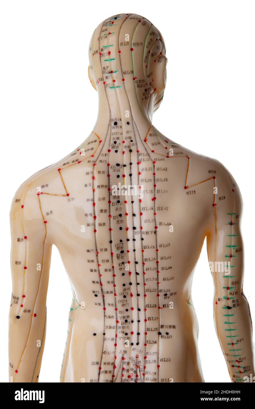Acupuncture meridians hi-res stock photography and images - Alamy