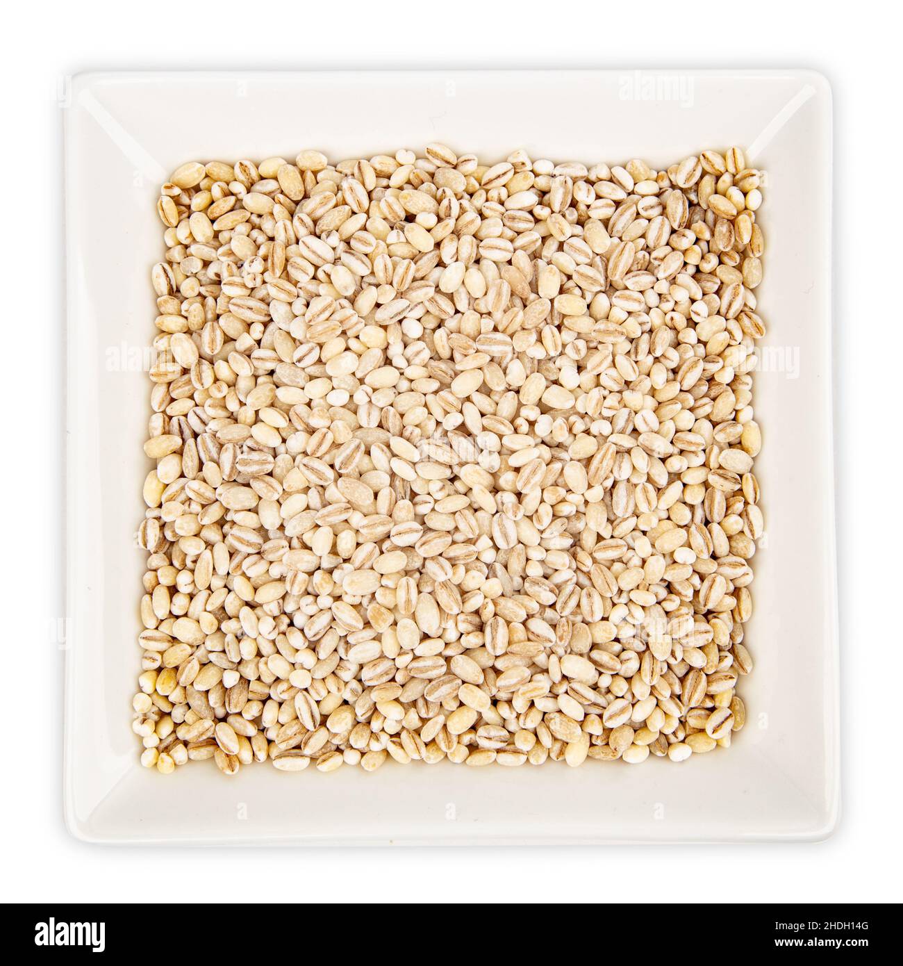 barley, cereal grain, barleys, cereal grains Stock Photo - Alamy
