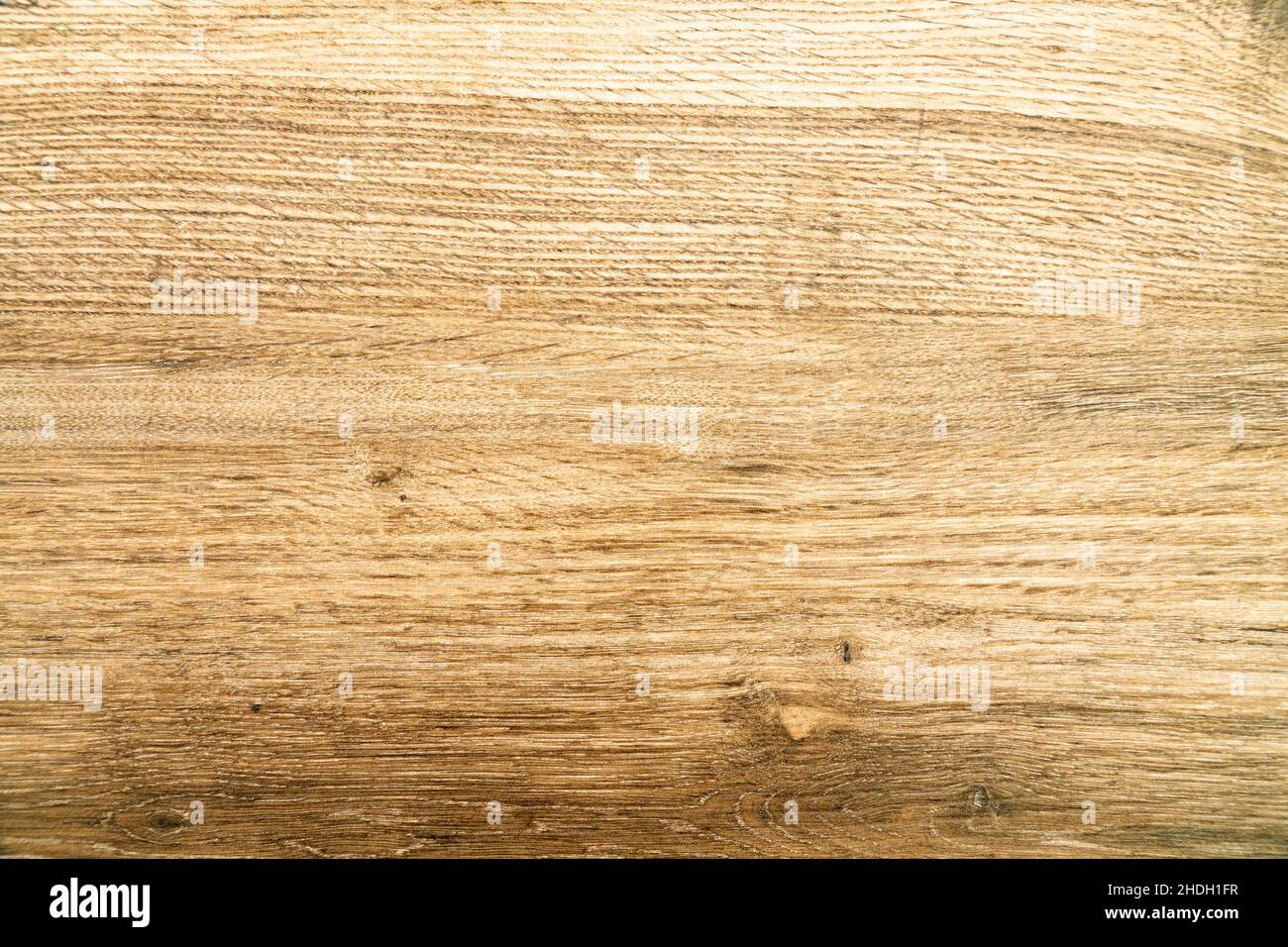 wood, hardwood, wood area, woodland, woodlands, woods, hardwoods Stock ...