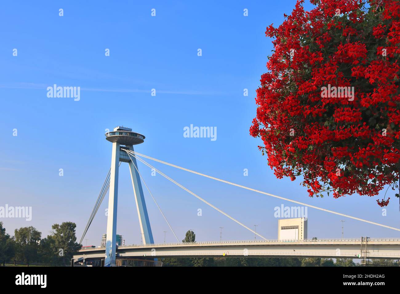 View of Bridge SNP and UFO observation deck and beautiful red flowers ...