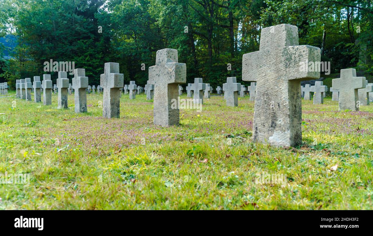 cross, soldier cemetery, grave, crosses, armed forces cemetery, soldier ...