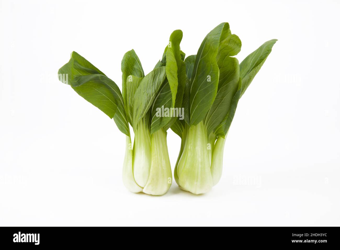 pak choi, pak chois Stock Photo - Alamy