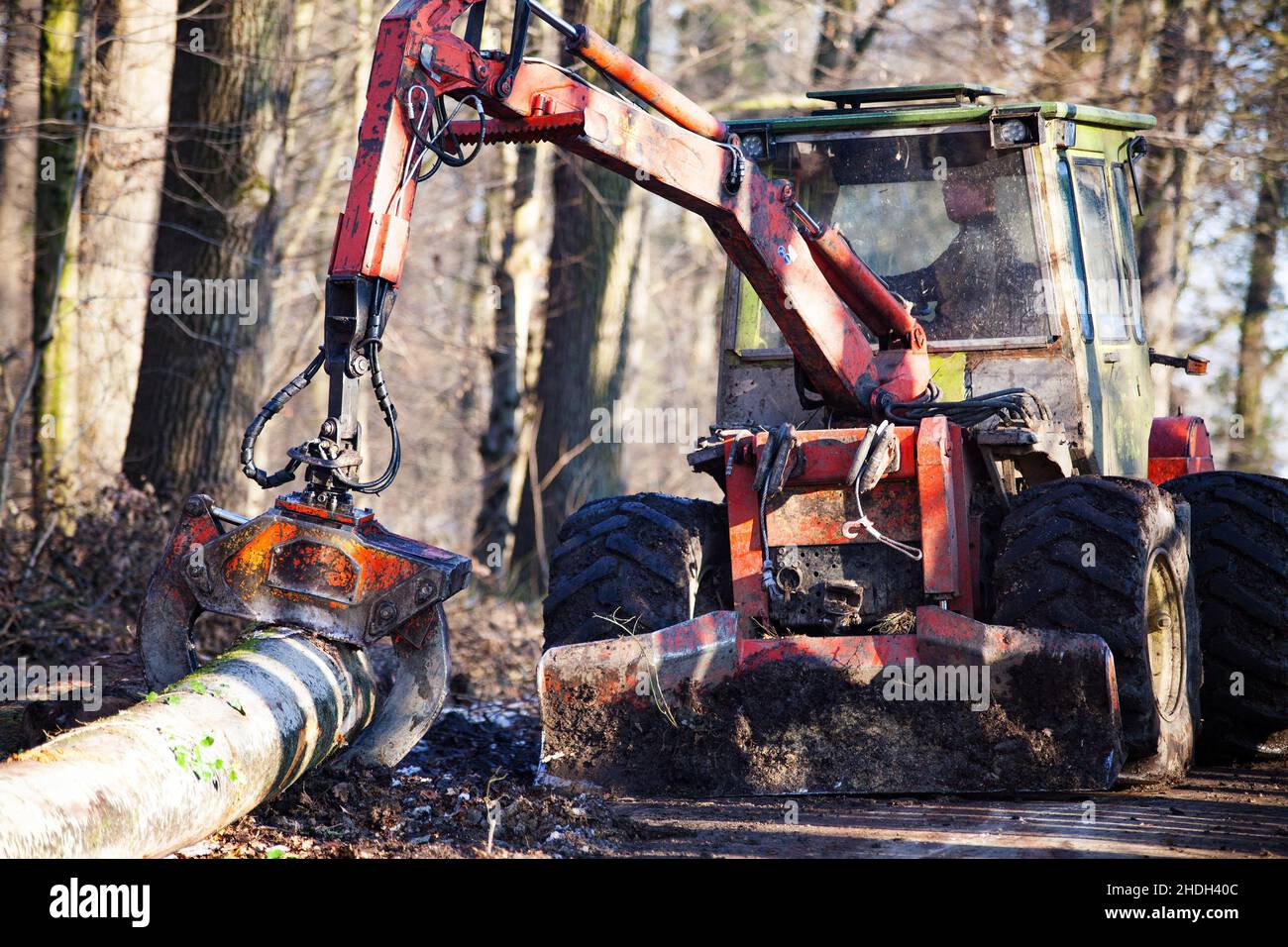 forestry, forest work, forestries, forest works Stock Photo - Alamy