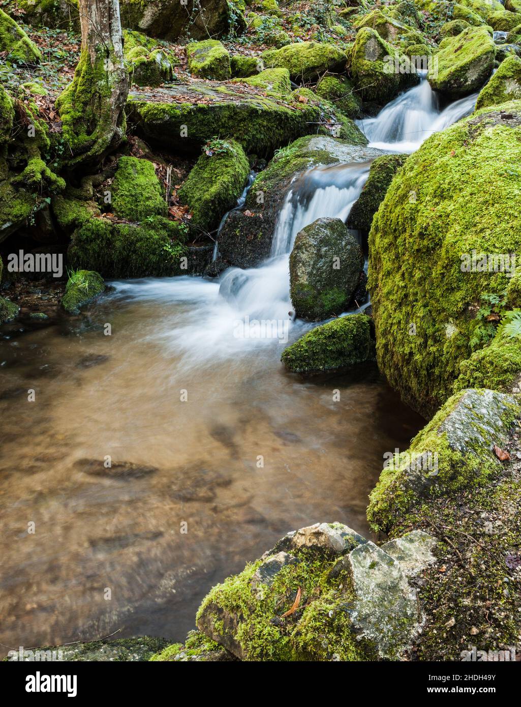 Stream ditch hi-res stock photography and images - Alamy