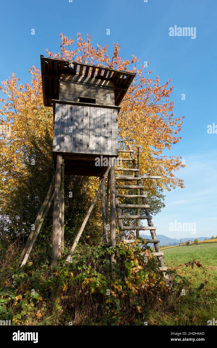 high seat, hunting tower, high seats, hunting towers Stock Photo - Alamy