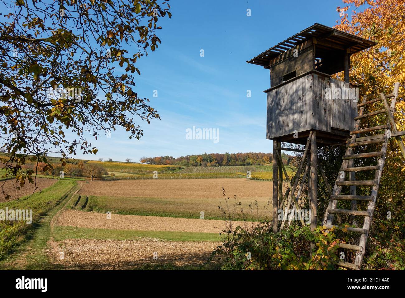 high seat, hunting tower, high seats, hunting towers Stock Photo - Alamy
