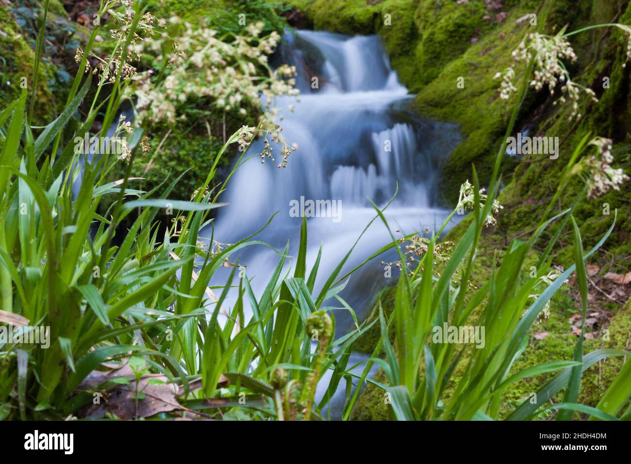 waterfall, mountain stream, cascade, waterfalls, mountain streams Stock ...