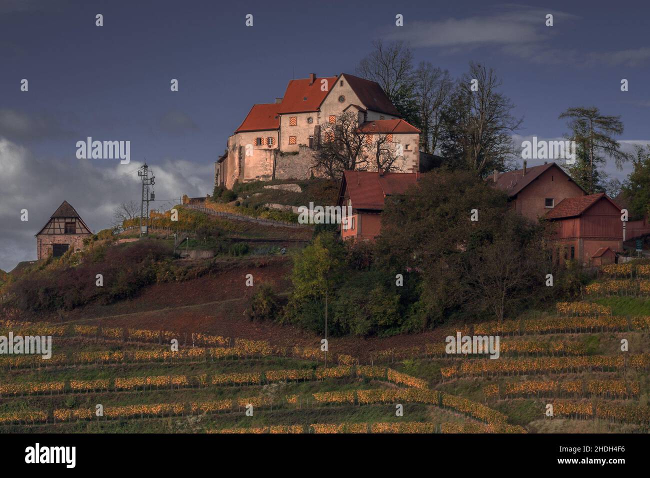 Staufenberg castle vineyard hi-res stock photography and images - Alamy