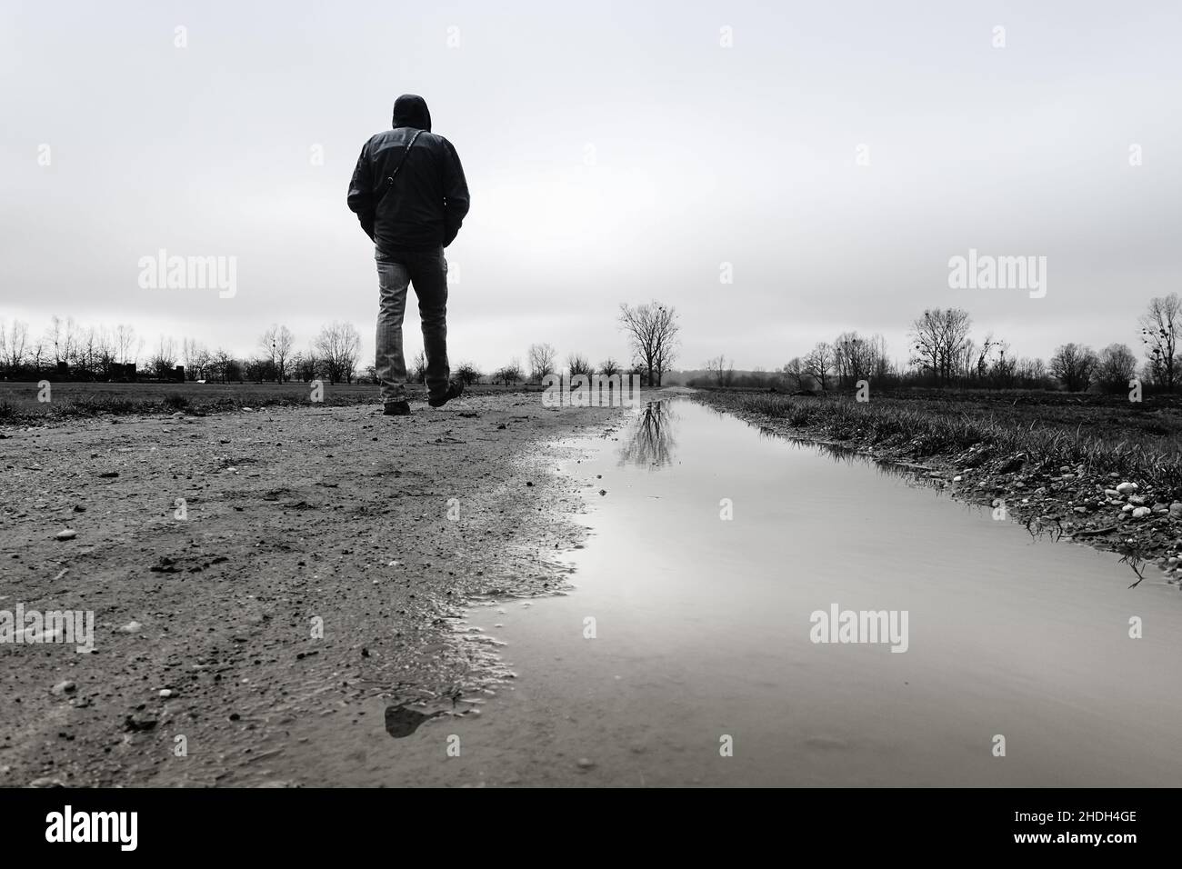 man, walk, fog, guy, men, walks, fogs Stock Photo - Alamy
